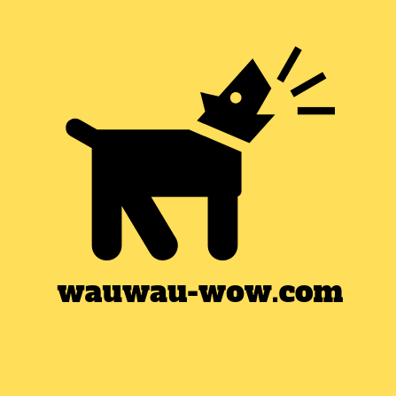 Blog mit Wuff - Der Hundeblog | Lieber klein statt groß - Unterstützung ...